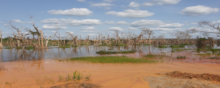 Exploitation minière au péril de l’environnement dans la région de l ...